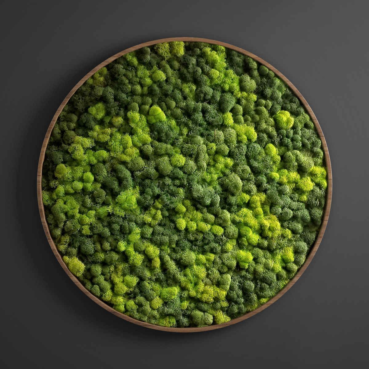 Panel moss circle 3D model | 1147512 | TurboSquid