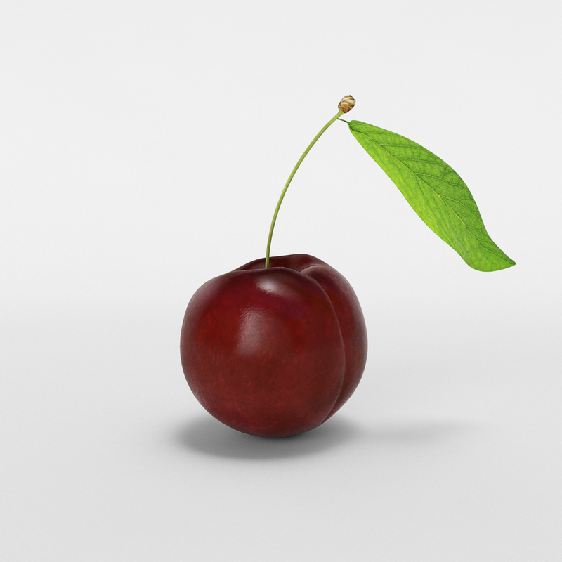 Kirsche 3D-Modell - TurboSquid 1148061