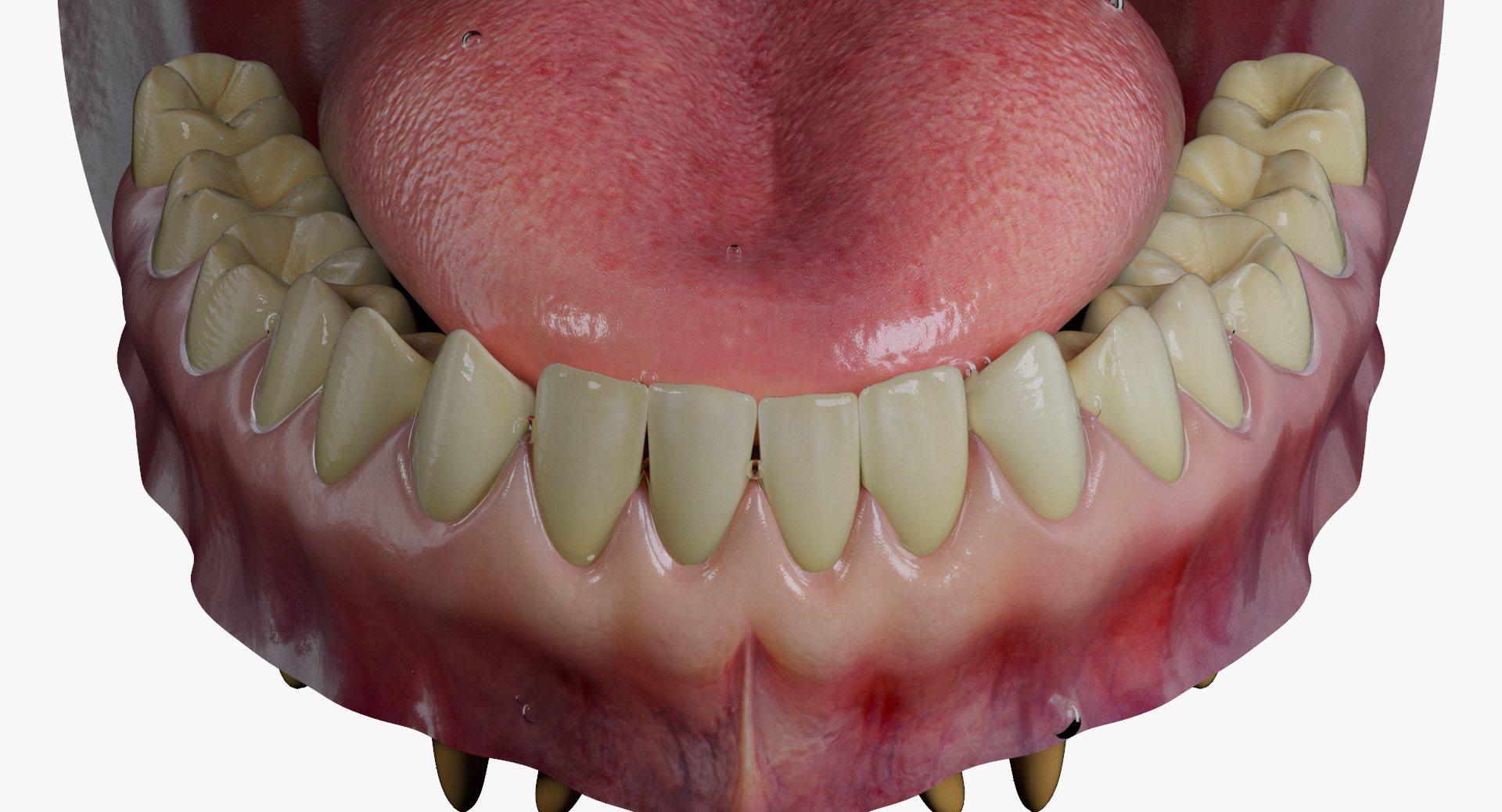 Mouth realistic human model | 1148113 | TurboSquid