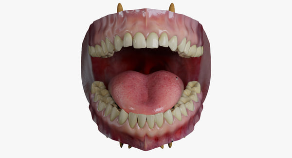 Mouth realistic human model | 1148113 | TurboSquid