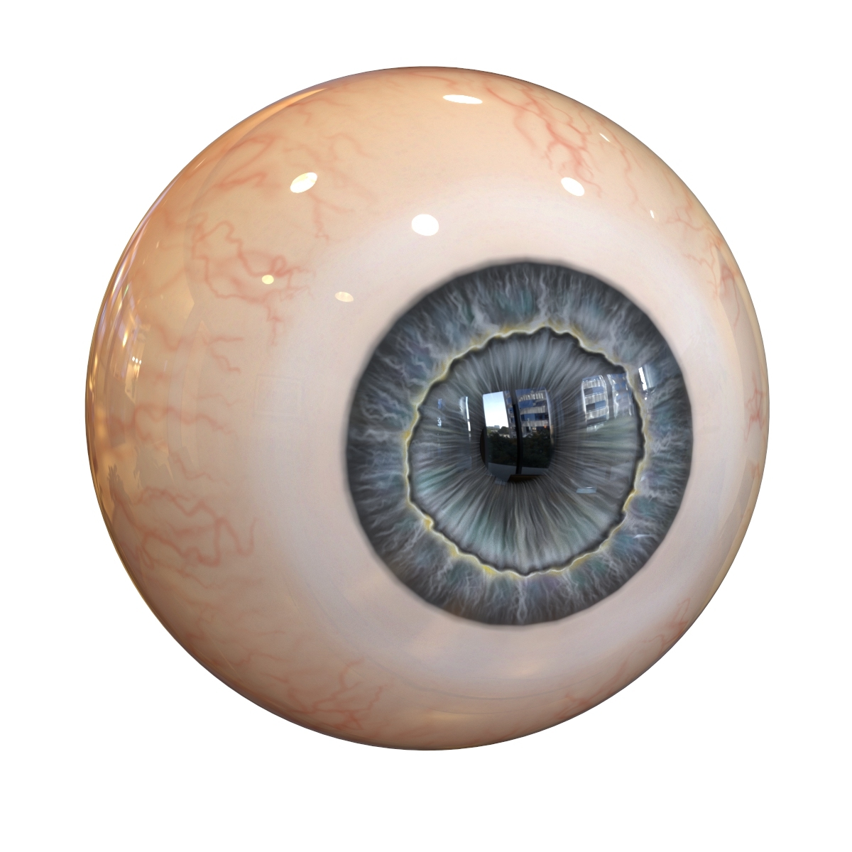 Eye iris 3D model | 1148149 | TurboSquid