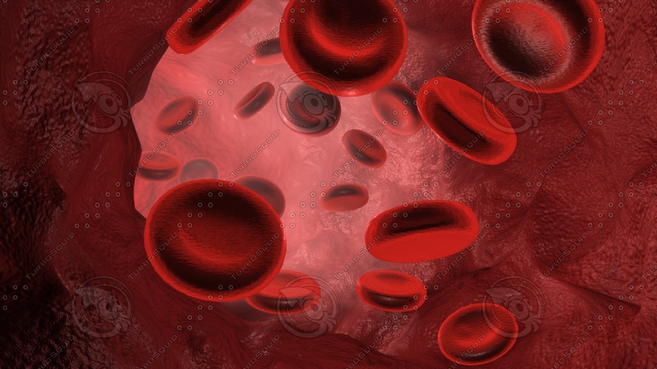 Blood flow cells 3D model | 1148435 | TurboSquid