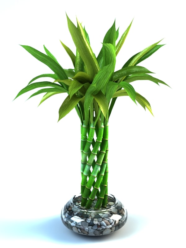 modelo 3d bambu 7 - TurboSquid 1148636