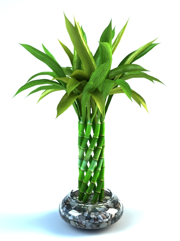 Low Poly Bamboo 3D Models for Download | TurboSquid