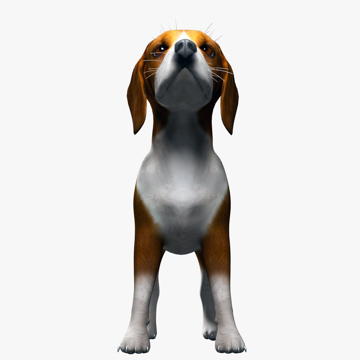 modelo 3d Perro beagle - TurboSquid 1148734