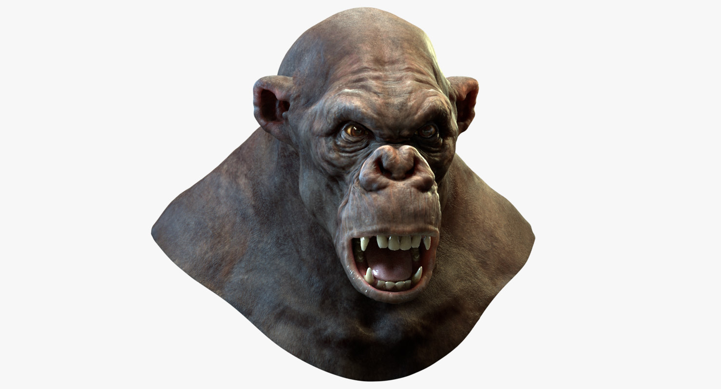 3D king kong head | 1148899 | TurboSquid