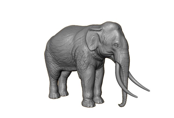 Elephant Blender Models for Download | TurboSquid