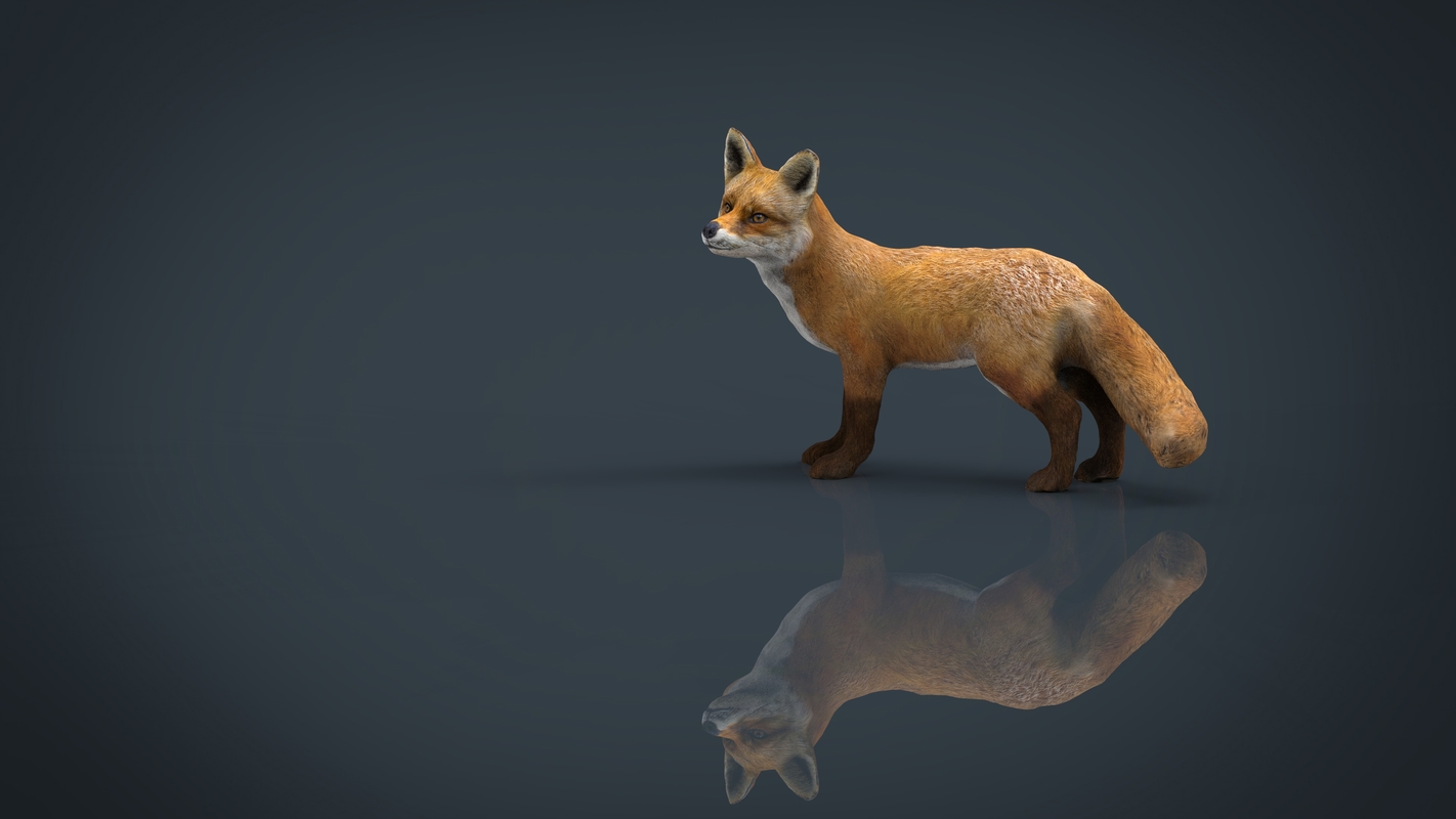 3D hd fox - TurboSquid 1149107