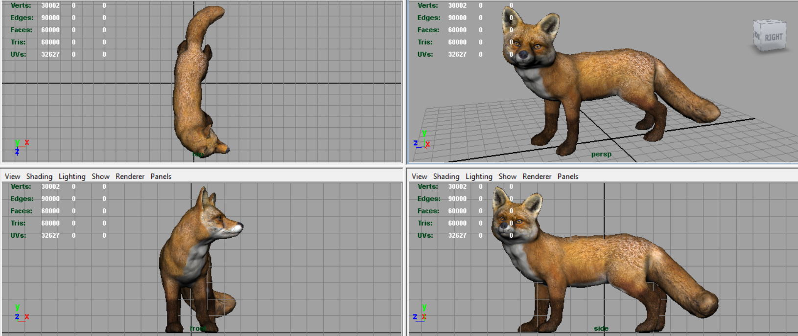 3D hd fox - TurboSquid 1149107