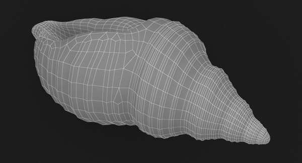 3D sea shell - TurboSquid 1149252