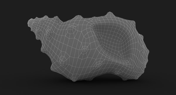 3D sea shell 3 model - TurboSquid 1150021