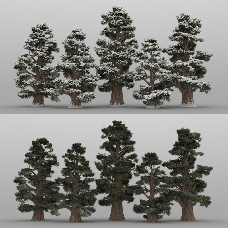 5 juniper trees 3D model - TurboSquid 1150153