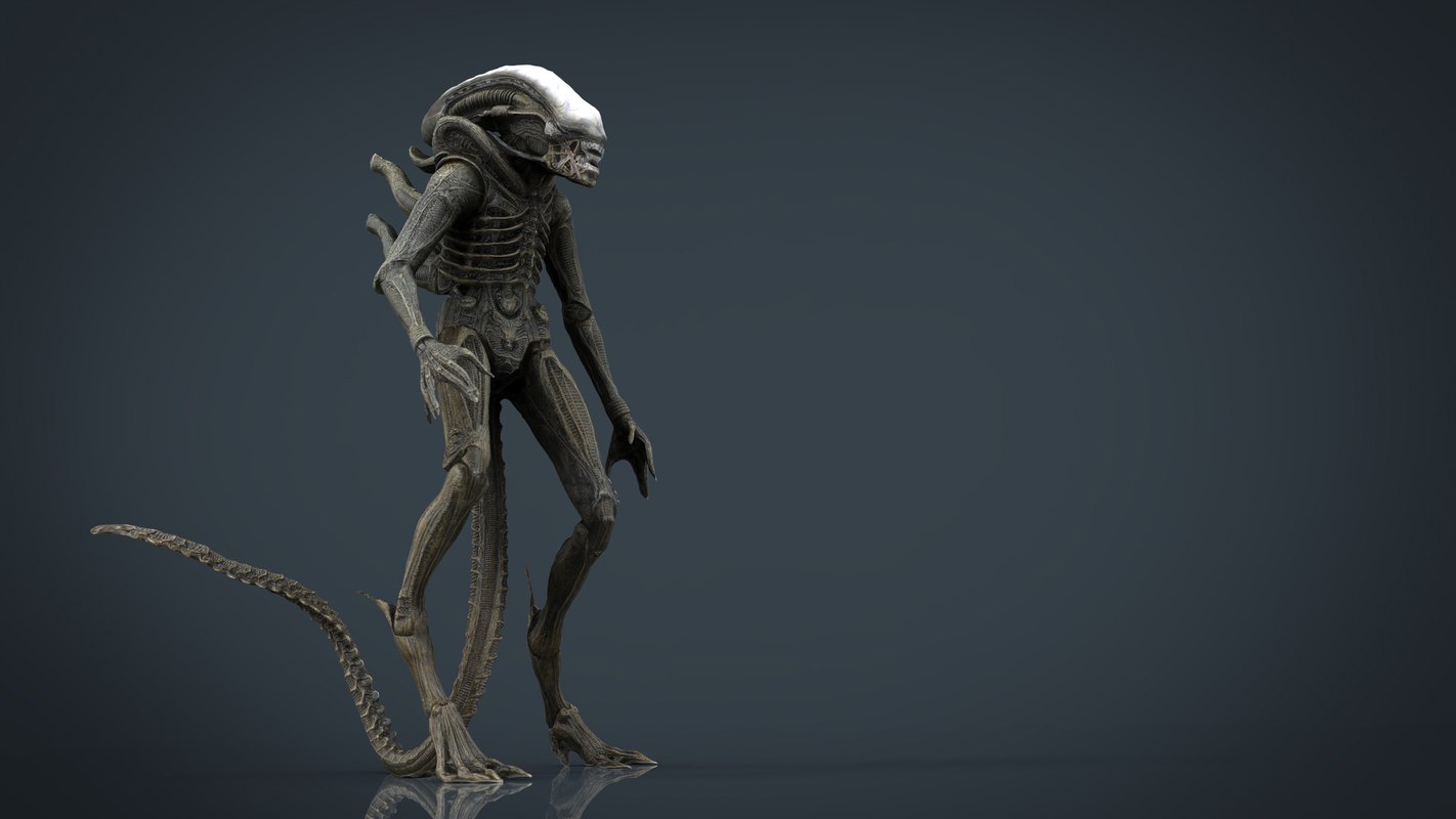 3D model alien xenomorph - TurboSquid 1150394