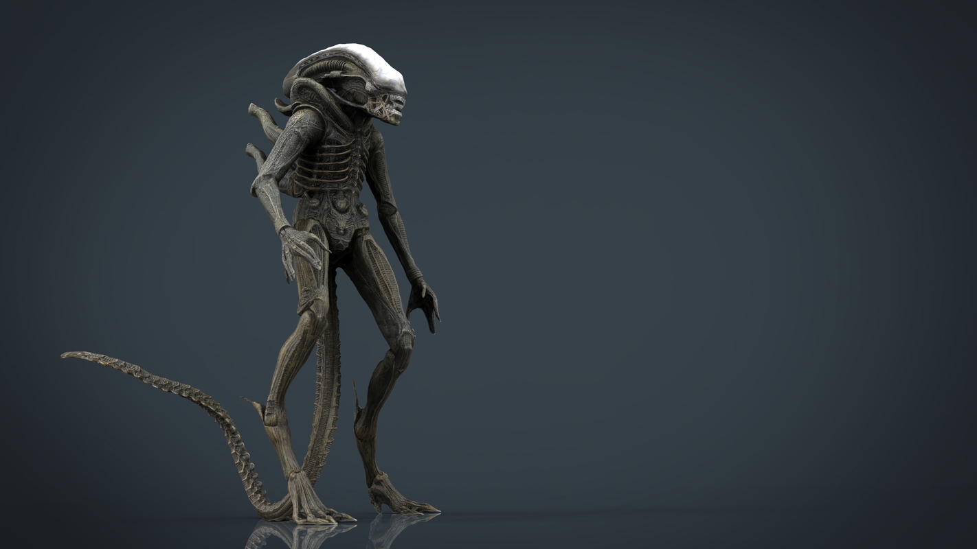 modelo 3d Alien Xenomorfo - TurboSquid 1150394