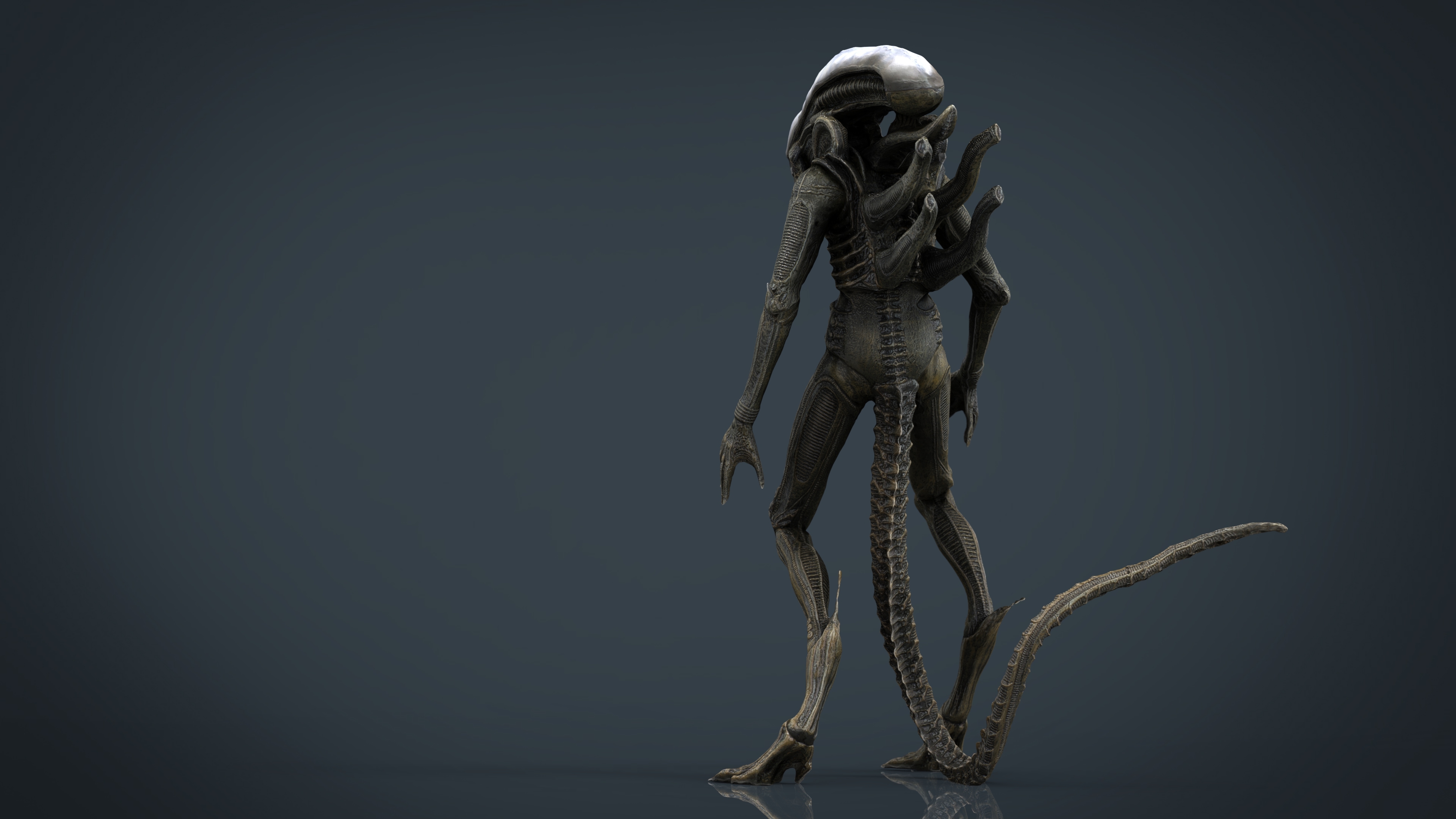 3D model alien xenomorph - TurboSquid 1150394