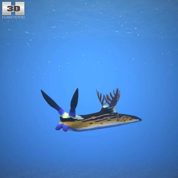 Nembrotha Megalocera 3D-Modell - TurboSquid 1150743