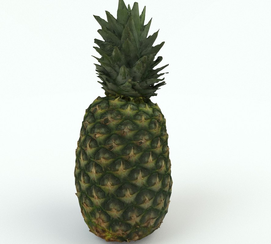Pineapple pine apple 3D model - TurboSquid 1150972
