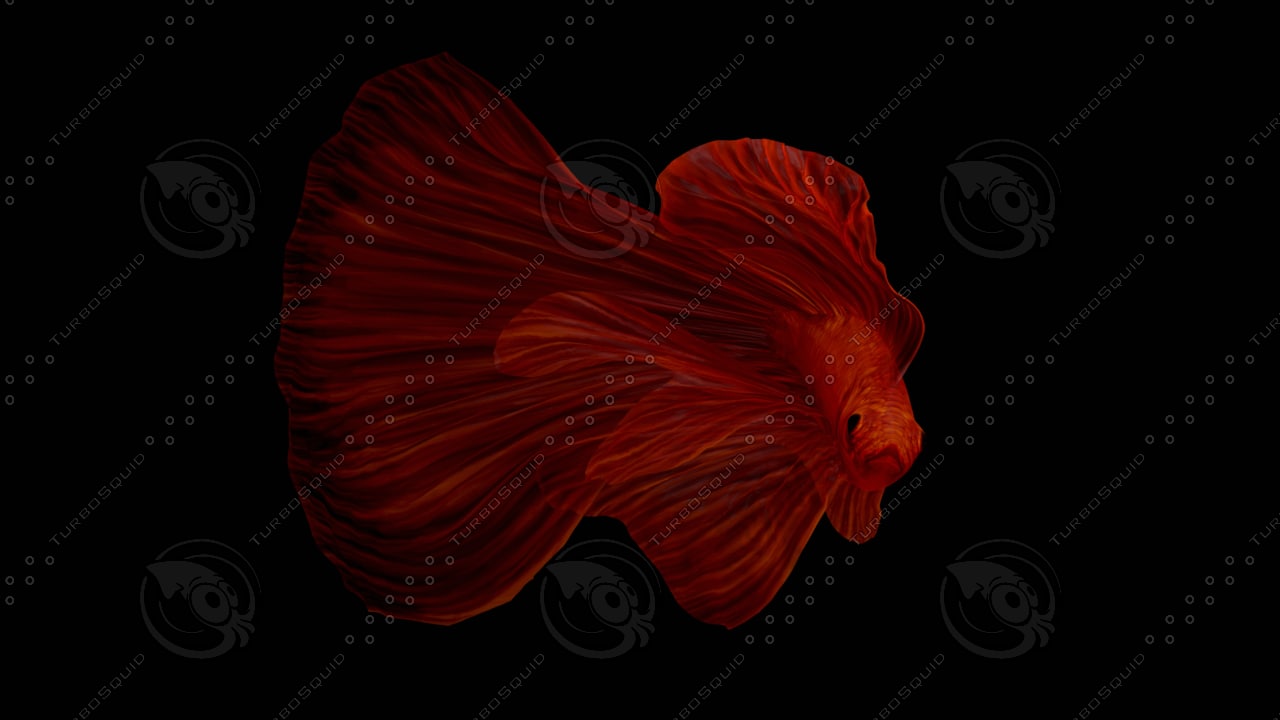 Redfish fish 3D - TurboSquid 1151013