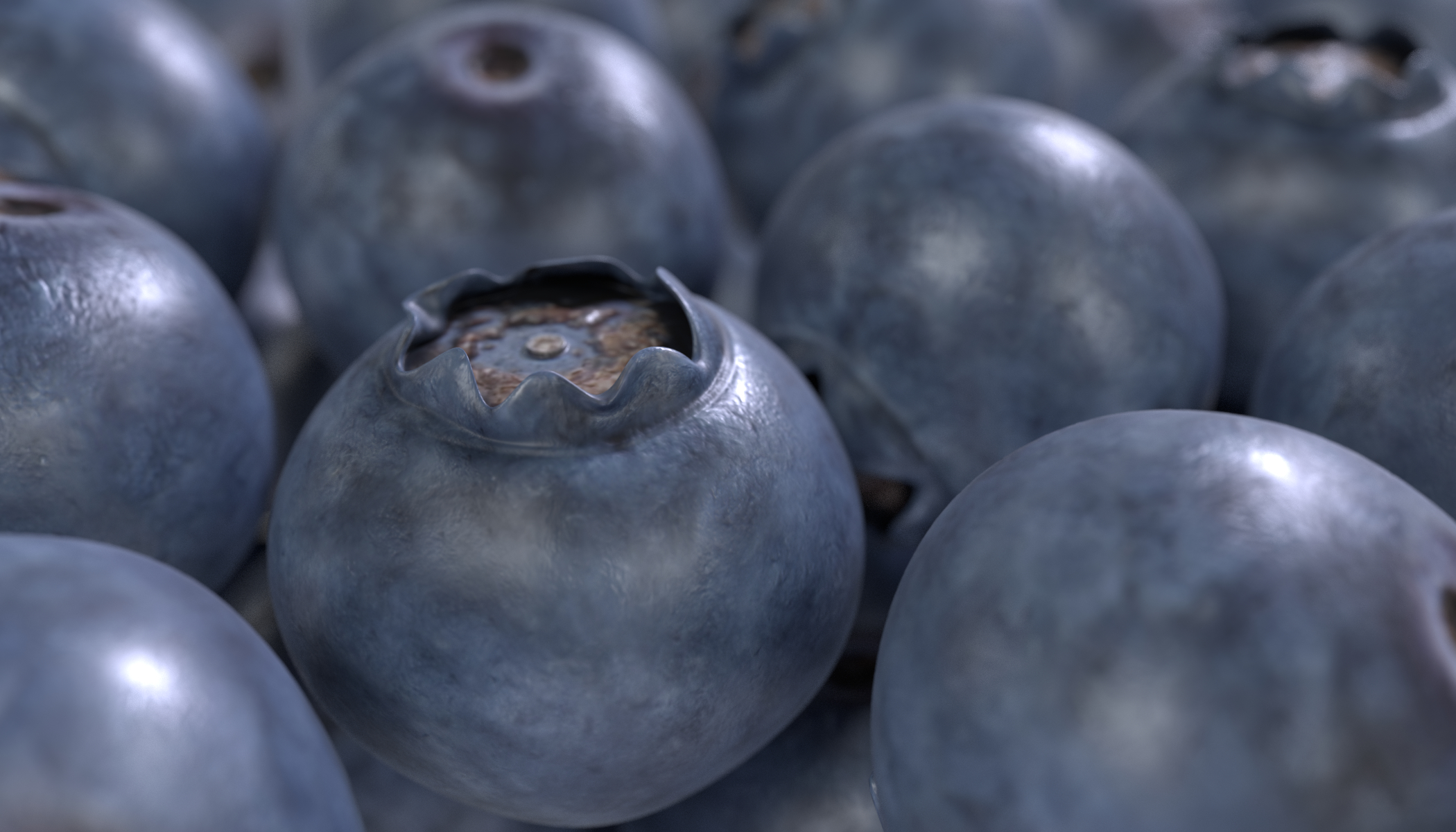 Blueberry berry blue 3D model - TurboSquid 1151400