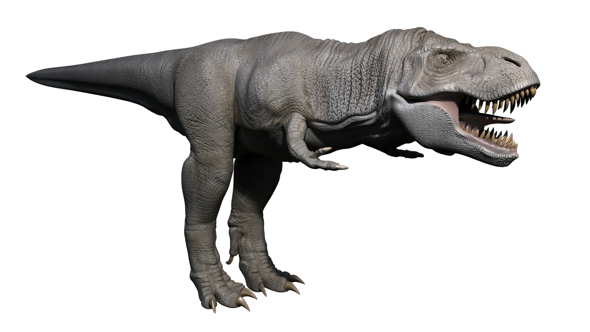 T.rex Pose Neutra Para Aparelhamento Modelo 3D - TurboSquid 1151470