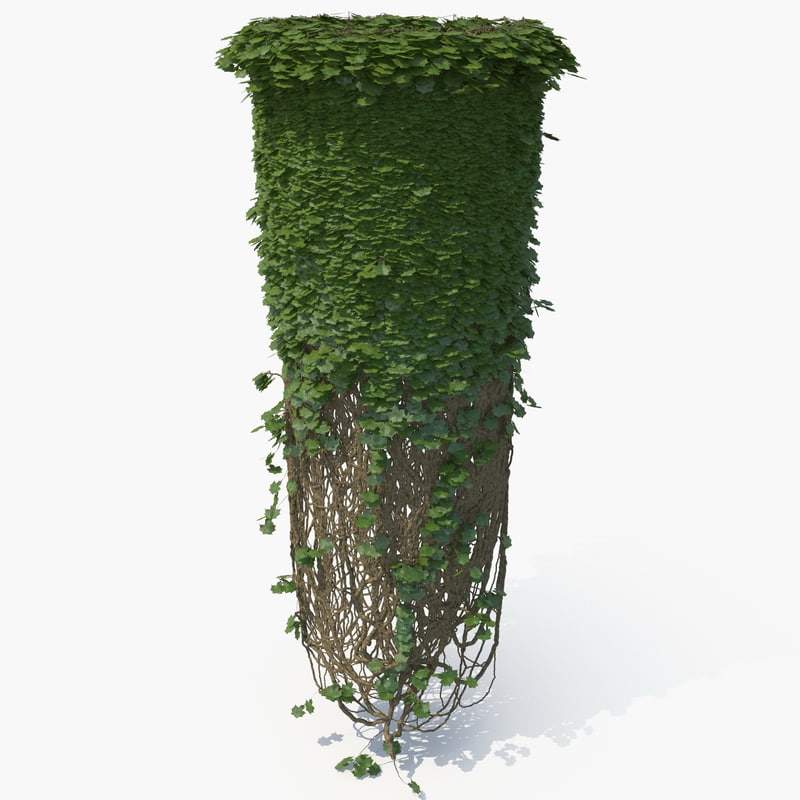 Realistic ivy column model - TurboSquid 1151657