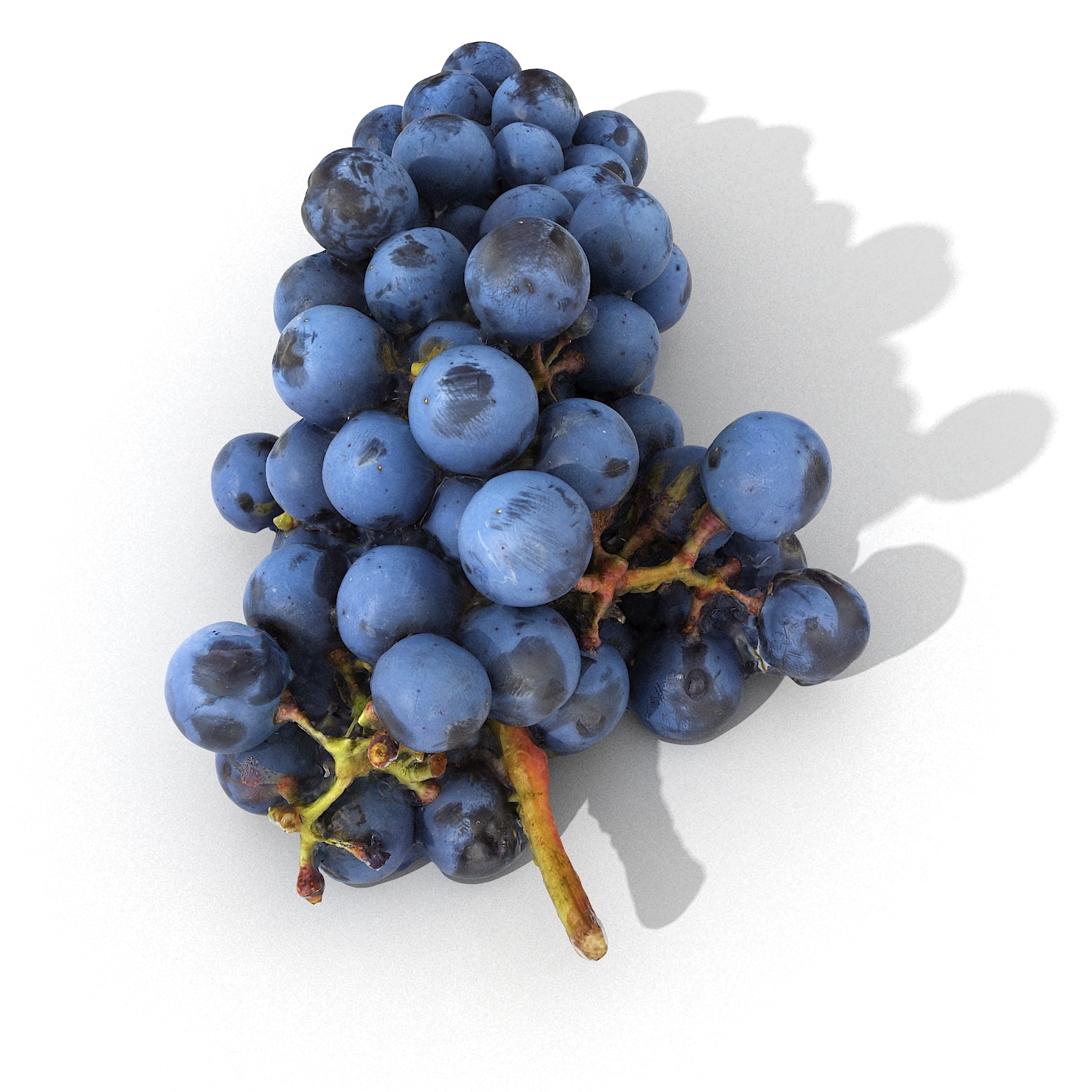 Scan grape realistic 3D model - TurboSquid 1152096