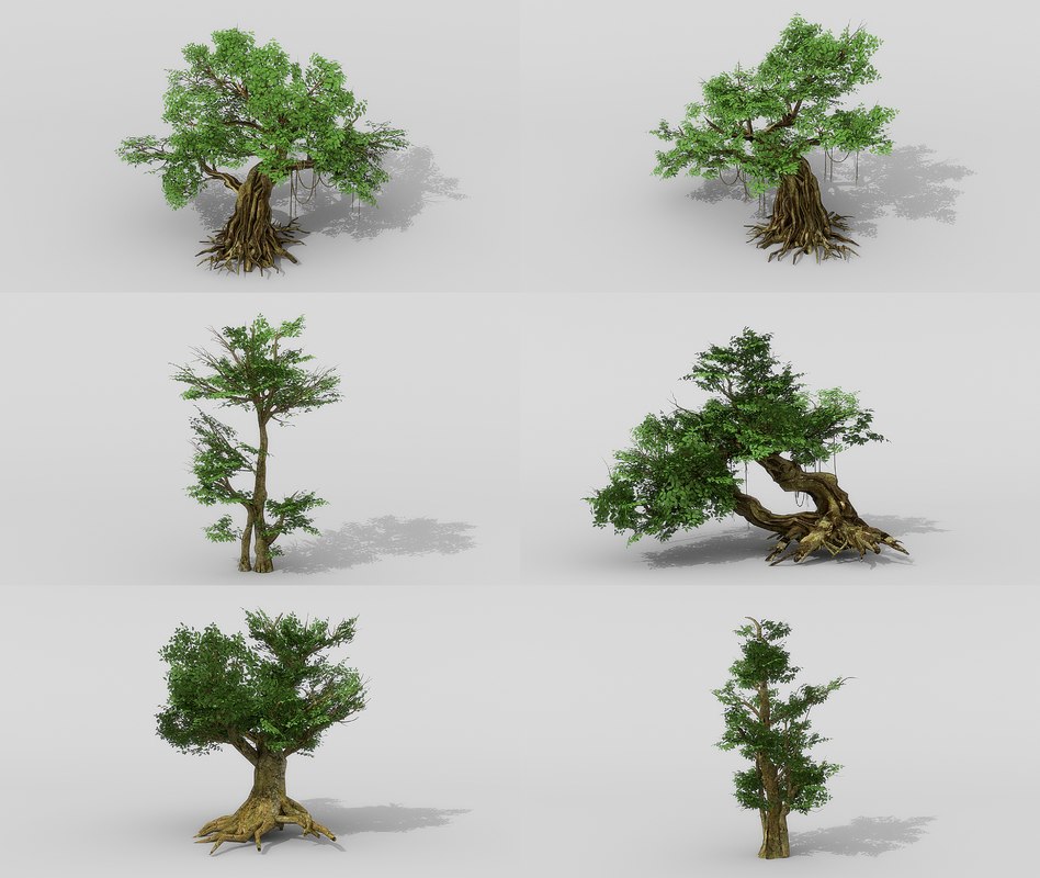 Banyan tree setting 3D model - TurboSquid 1152964