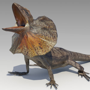 Lizard 3D Models for Download | TurboSquid