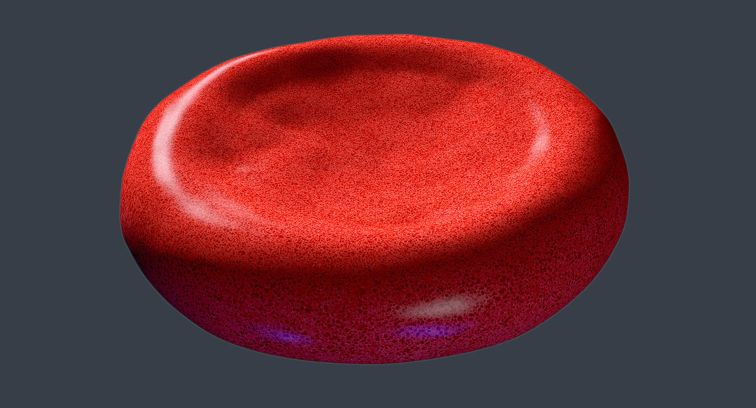 3D blood cell model - TurboSquid 1153226