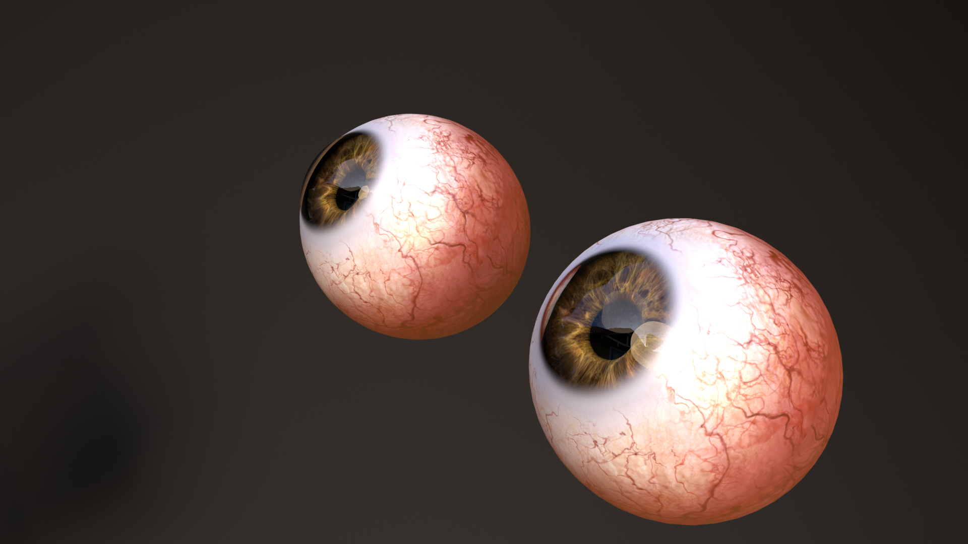 Free 3D model iris eye - TurboSquid 1153269