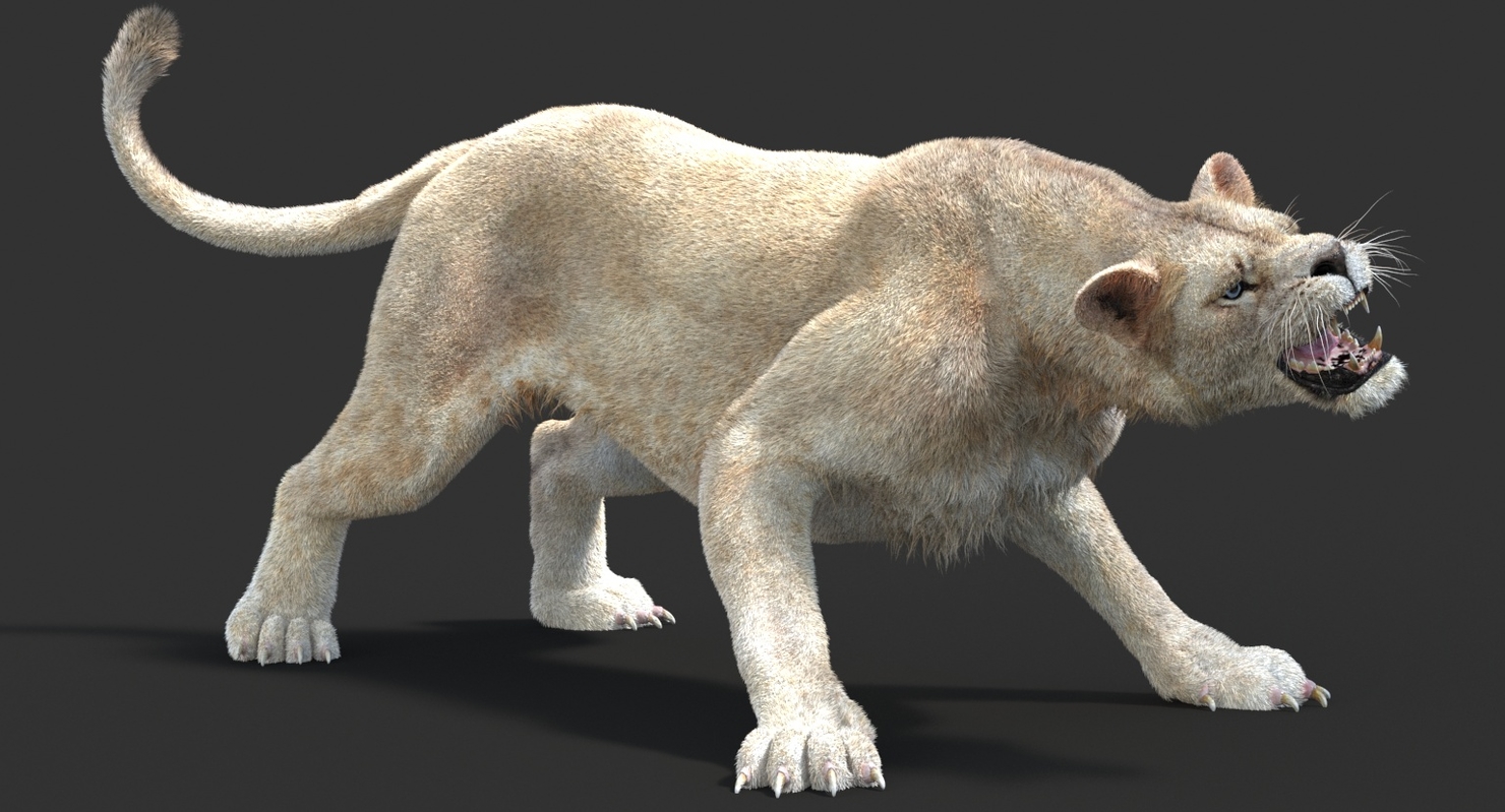 3D lioness 2 fur colors model - TurboSquid 1153348