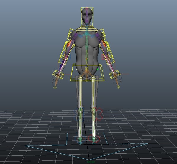 Anatomy torso 3D model - TurboSquid 1154389