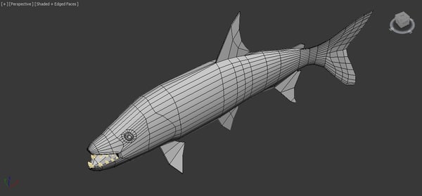 3D tiger fish - TurboSquid 1154460