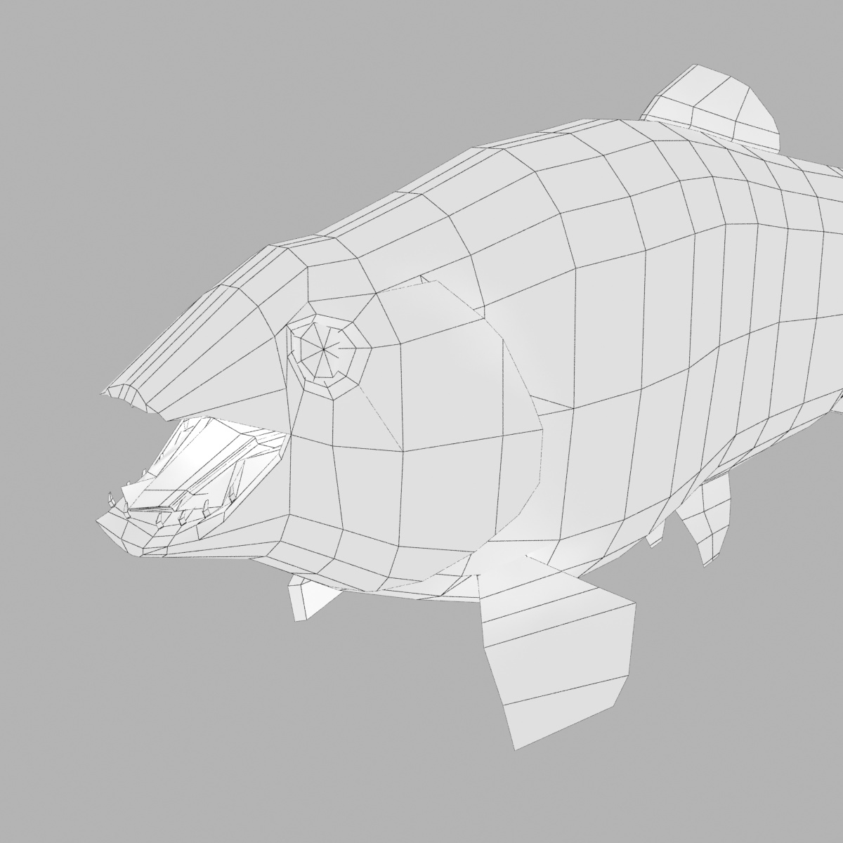 3D model rainbow trout - TurboSquid 1154951