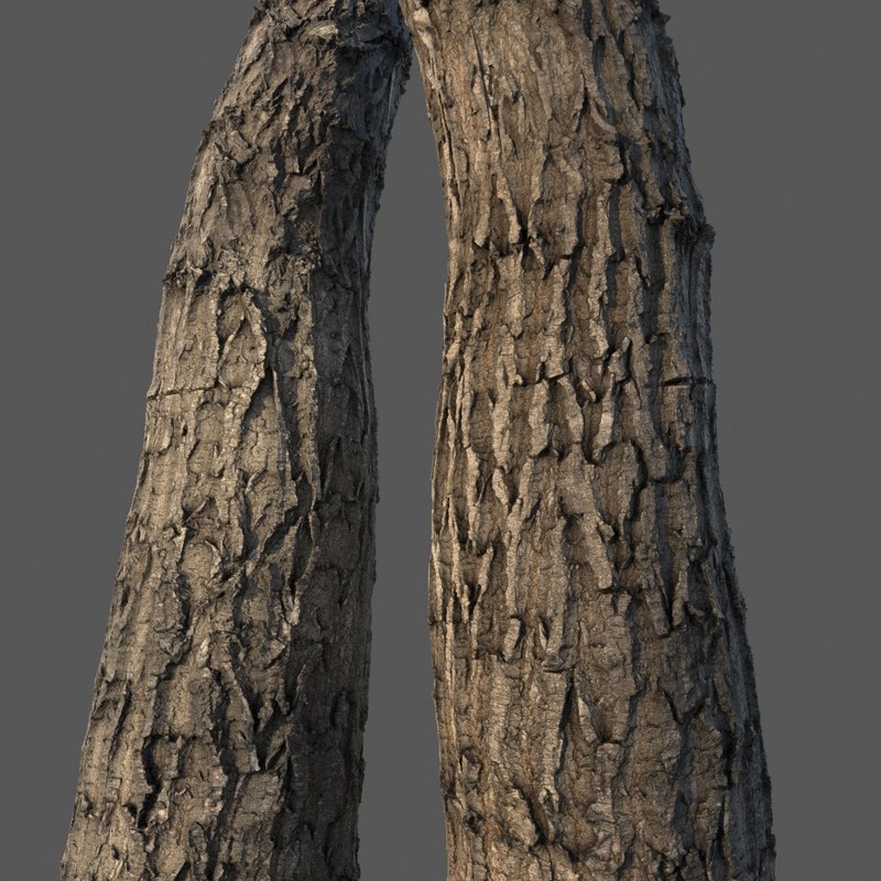 Tree bark 4k 3D - TurboSquid 1156192