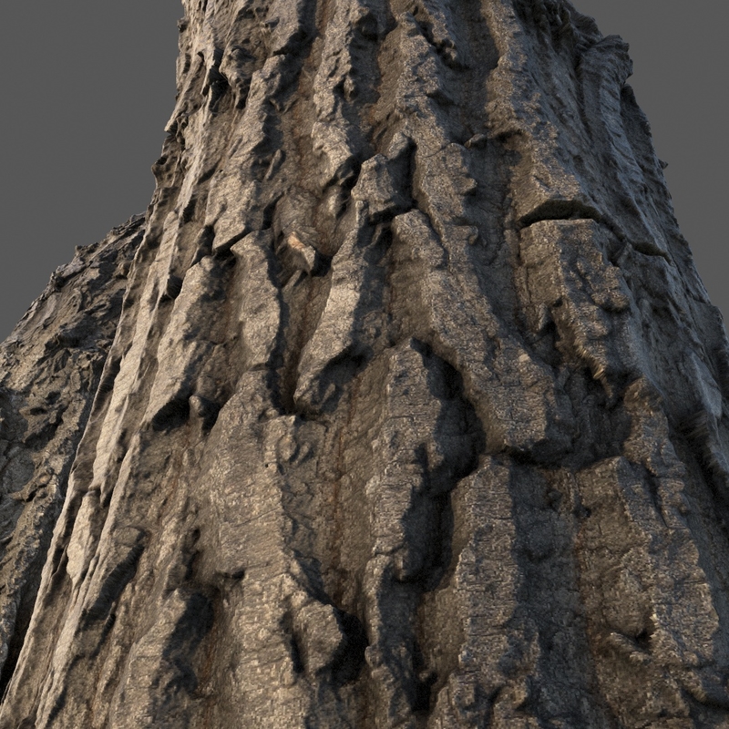 Tree bark 4k 3D - TurboSquid 1156192
