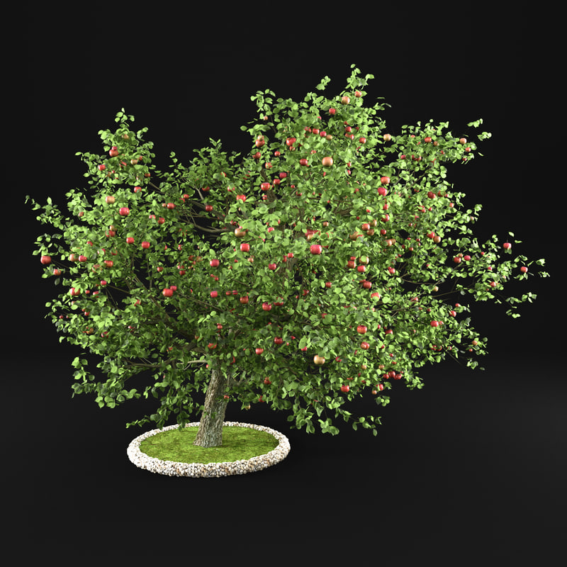 3D model apple tree - TurboSquid 1156197