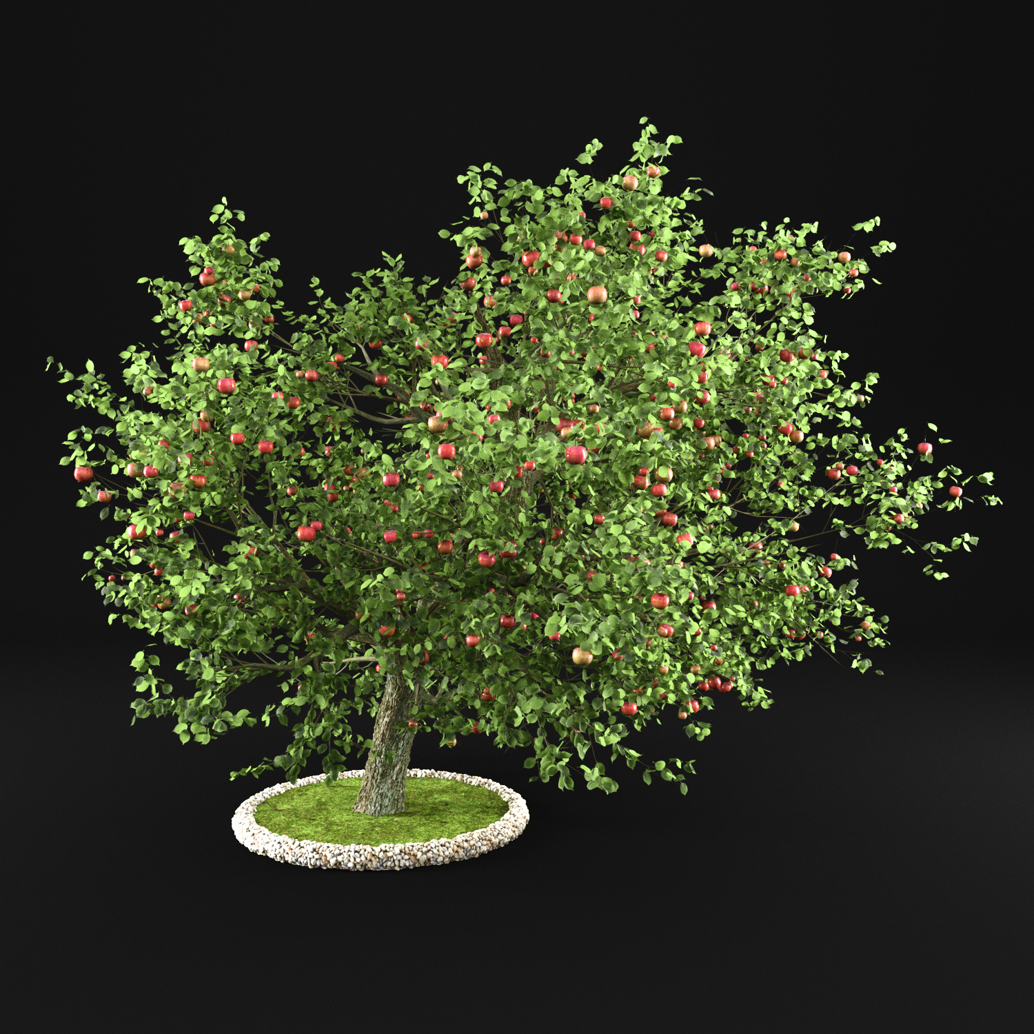 Apfelbaum 3D-Modell - TurboSquid 1156197
