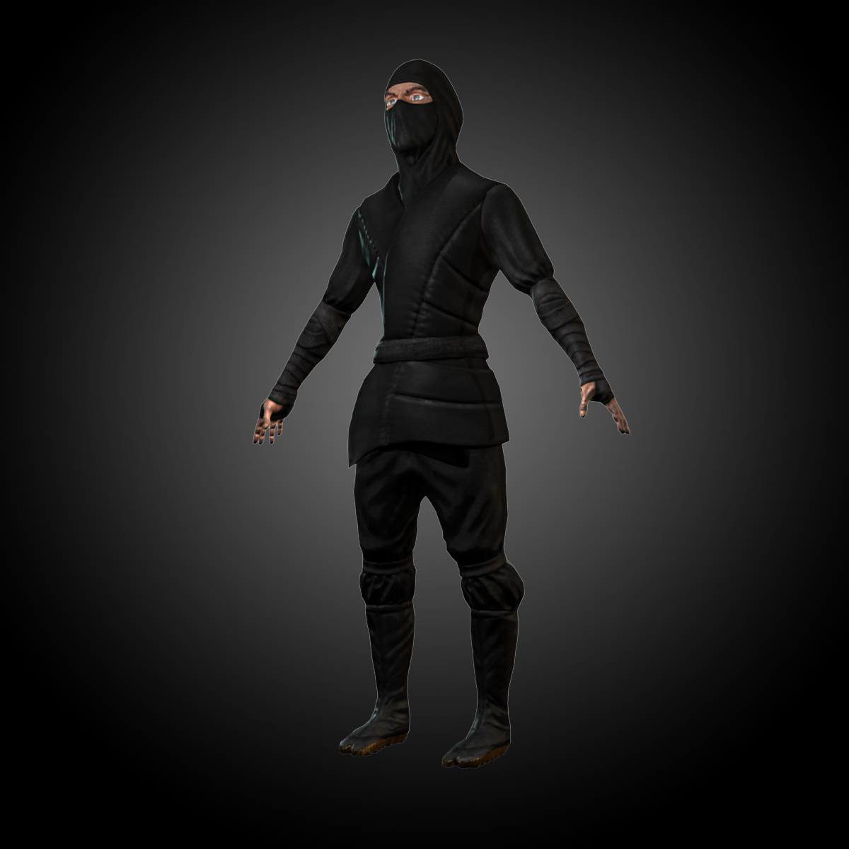Ninja 3D - TurboSquid 1156847