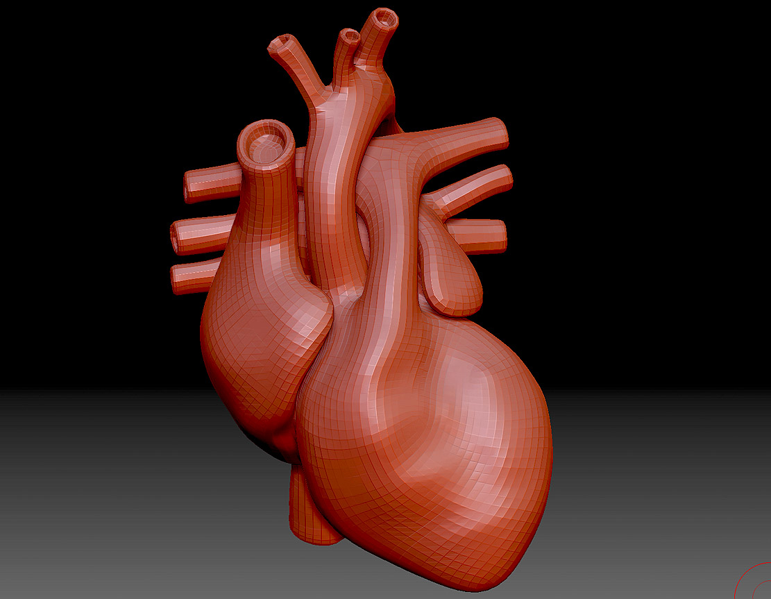 Heart mesh 3D model - TurboSquid 1157173