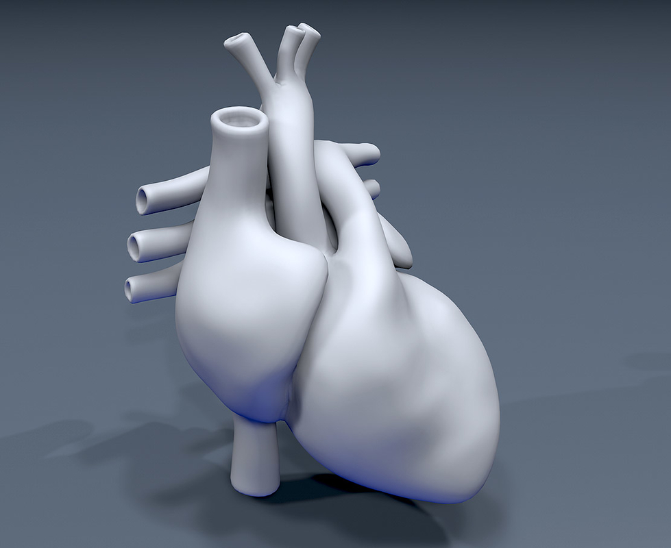 Heart mesh 3D model - TurboSquid 1157173