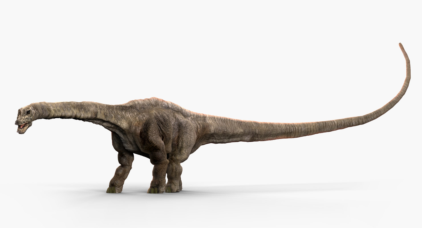 3D model diplodocus dinosaur animate - TurboSquid 1158987