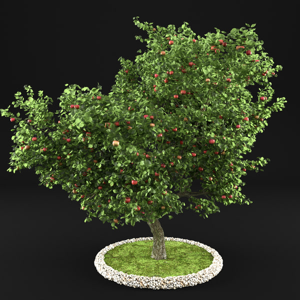 3D apple tree - TurboSquid 1159245