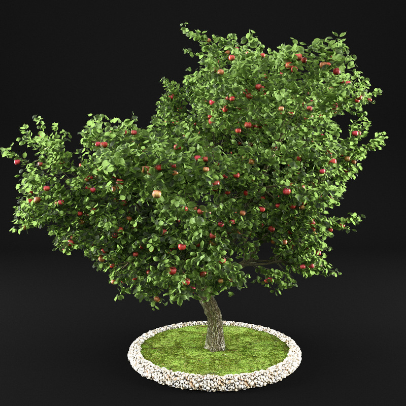 3D apple tree - TurboSquid 1159245