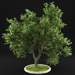 Apple Tree 3D Models for Download | TurboSquid