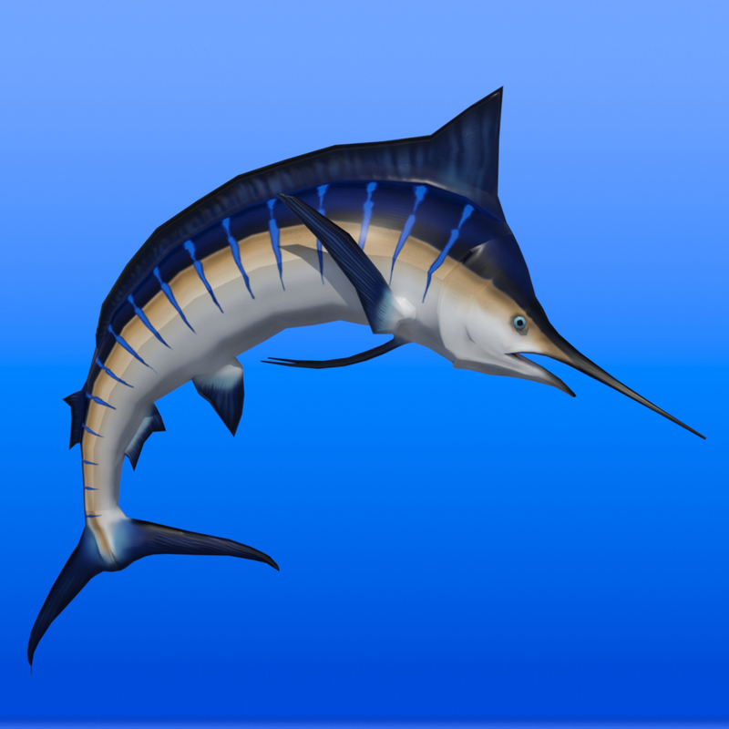 3D model blue marlin - TurboSquid 1159371