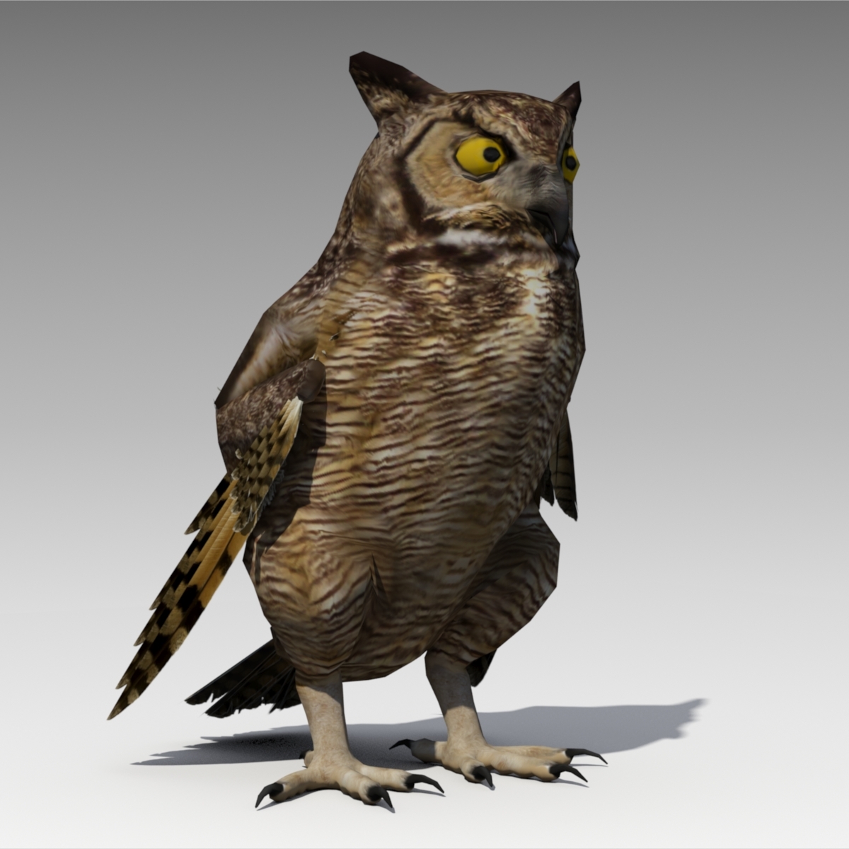 Owl animations 3D model - TurboSquid 1159382