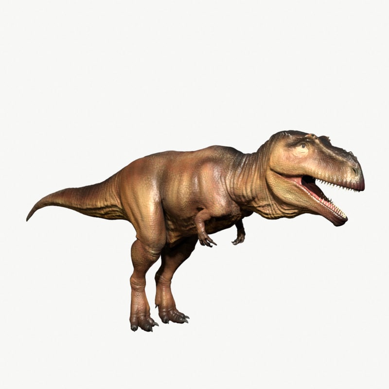 3D giganotosaurus model - TurboSquid 1159462