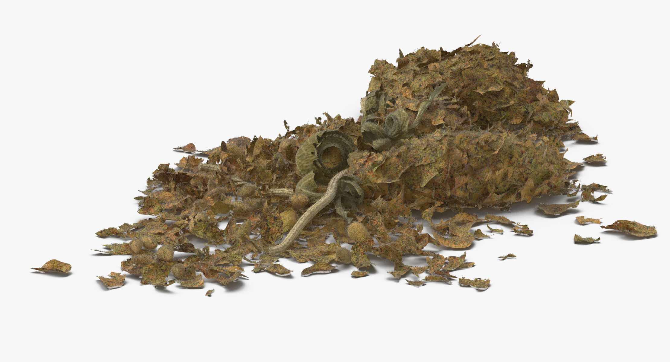 Loose piles marijuana 02 3D model - TurboSquid 1159801