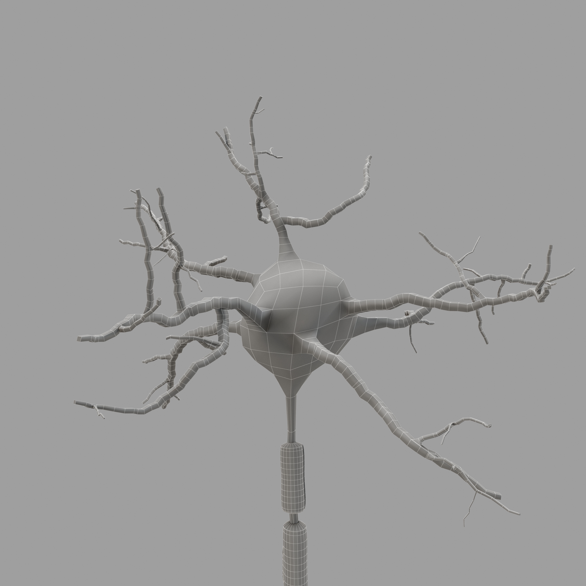 3D motor neuron 2 model - TurboSquid 1159940